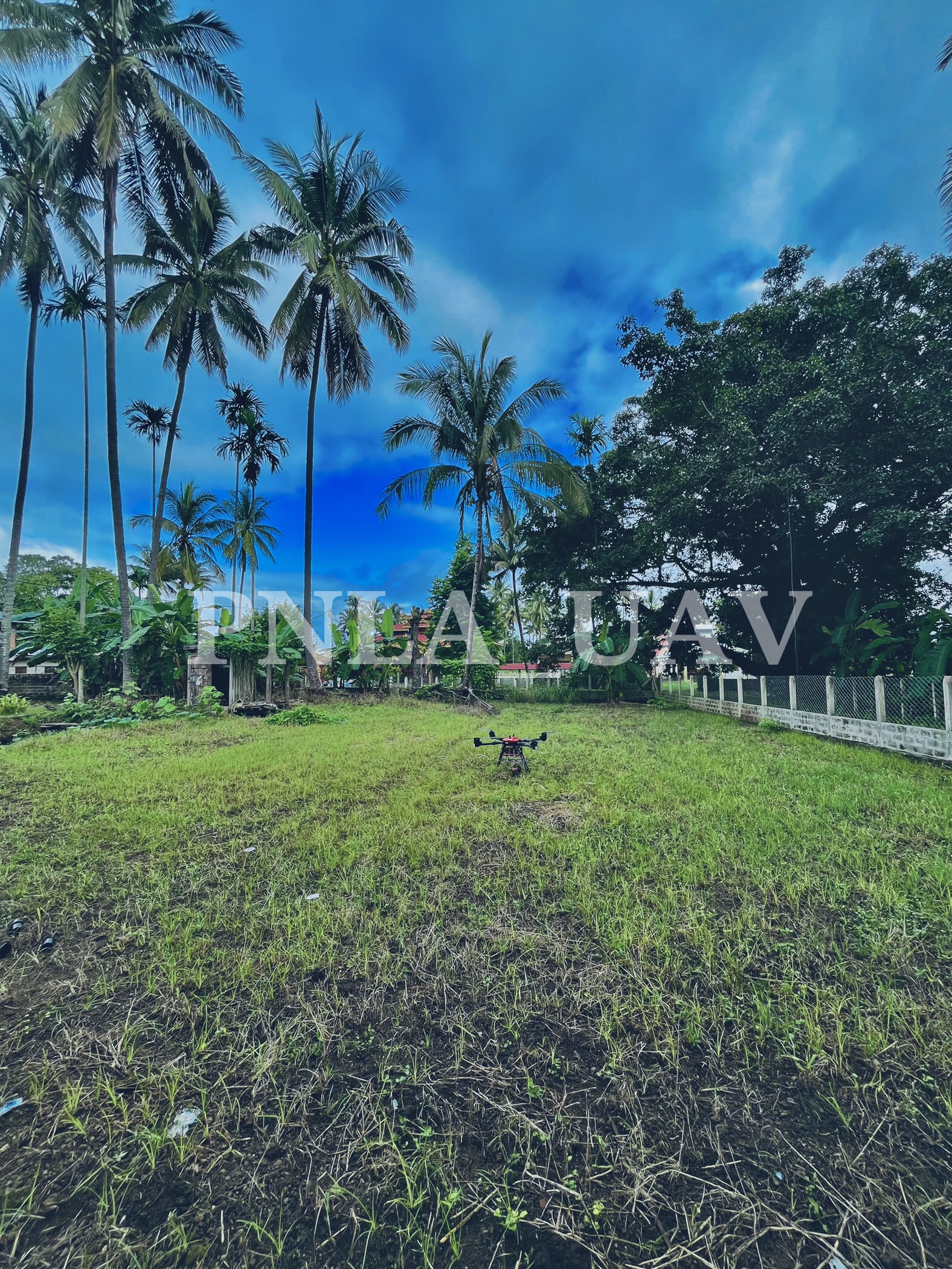 𝐏𝐍𝐋𝐀_𝐔𝐀𝐕